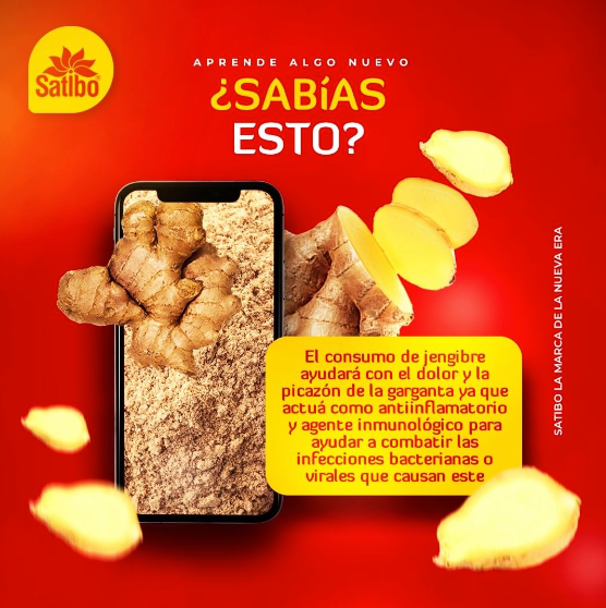 TIPS Saludables de Satibo en Giravital – GiravitalTienda